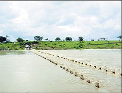 River Manjara continues to swell