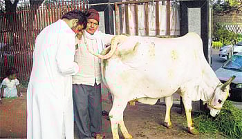 Welcoming New Year in a different style