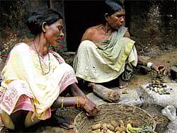 Fighting hunger with seeds and roots