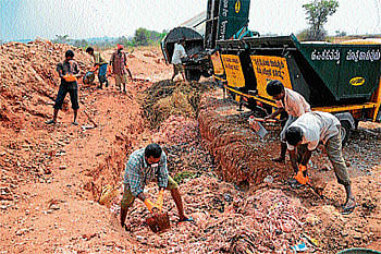 MCC setting an example in waste disposal