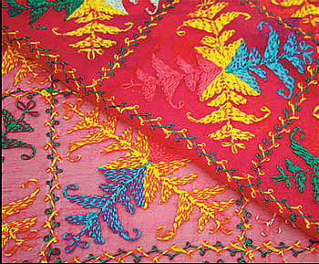 Exotic Indian embroidery