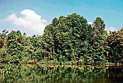 Serenity............at Shishila