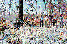 Nagarhole seething under the cinders