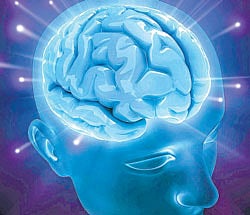 Physical architecture of intelligence in brain mapped