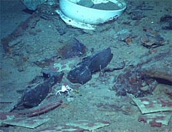 Human remains at Titanic shipwreck site: US official