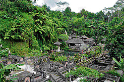 Beckoning Bali