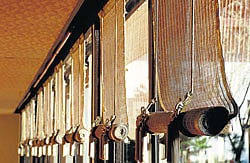 Dress up your windows