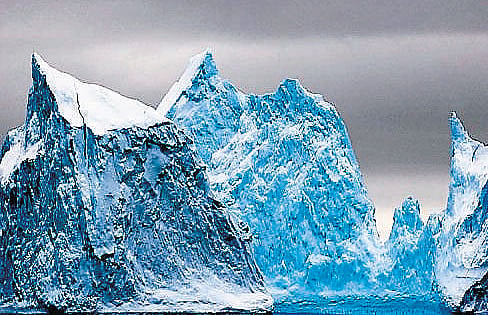Ancient Antarctic rainforest found