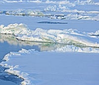 'Arctic sea ice could disappear within 10 years'