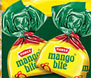 FDA bites into Parle's Mango Bite