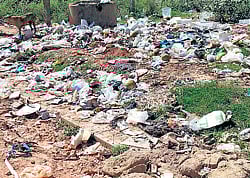 Garbage lessons to begin at school
