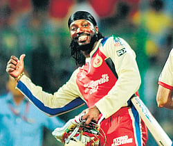 Gayle force blows away Knights