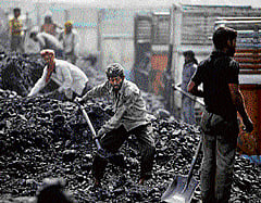 Coal and cattle lead top nature busters