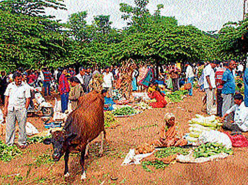 Speedy Solution To MG Mkt Soon 