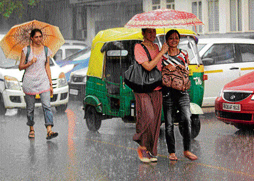 28 pc excess rain so far this season