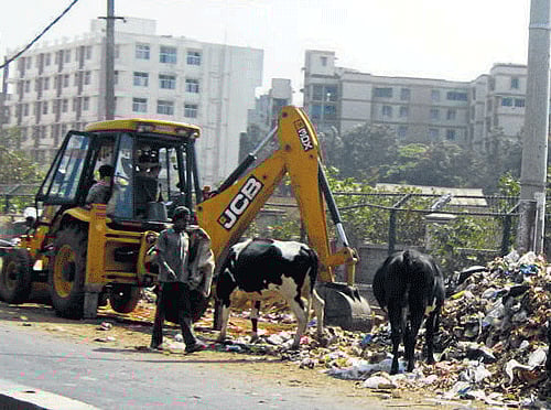 The significance of segregation