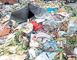 'Throw garbage, incur fine'