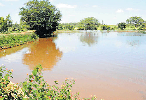 Lake that slaked residents' thirst is now a toxic cesspool