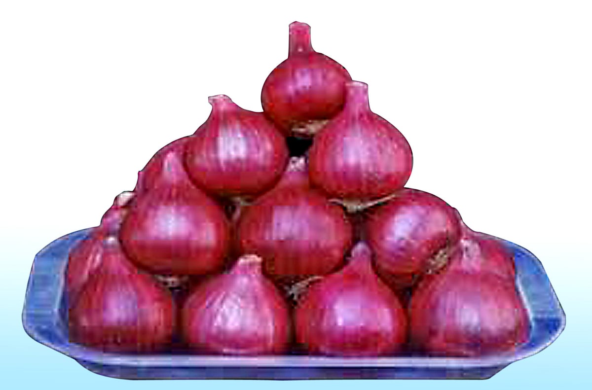 Scientists develop new 'tearless' onions