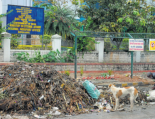 A walk through the mess