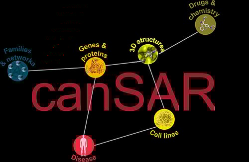 World's largest cancer database launched