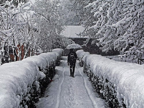 Fresh snowfall brings cheer to New Year revelers