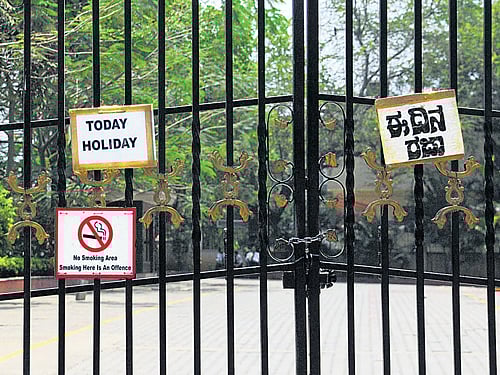 People laze around as City is soaked in holiday mood