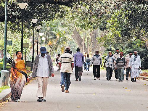 Pay please to say cheese!