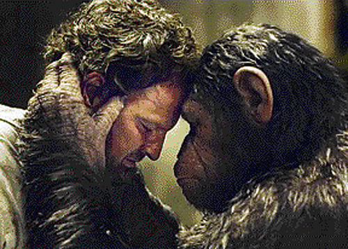 This movie does not monkey around