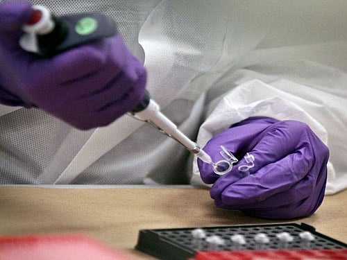 DNA similarities help choose friends