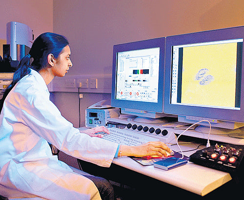 Creating an intense research culture