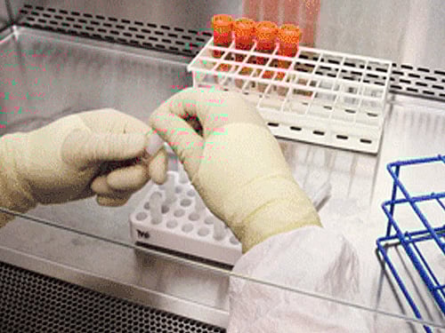 World's first lab grown stem cells implanted