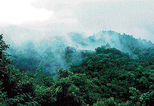 Survey of deemed forest areas to be completed by December-end: Minister