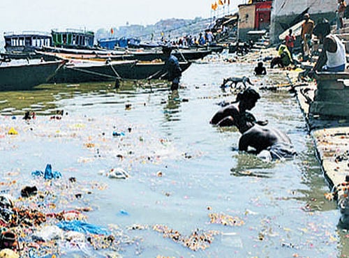 Kanpur's 700 tanneries major source of pollution in Ganga: NGT