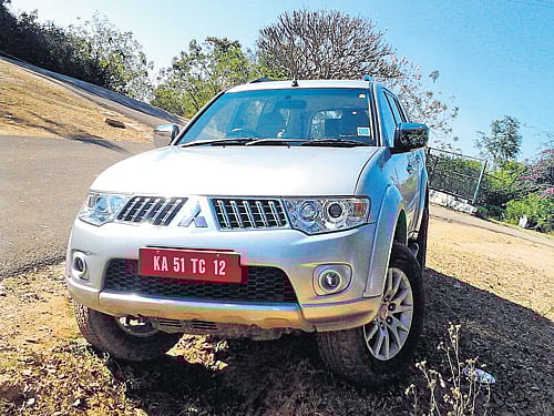 A striking beauty and a formidable beast