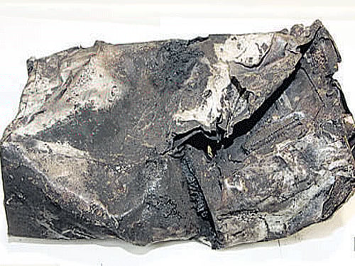 2nd black box confirms pilot's plot