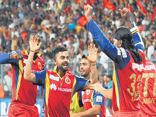 Gayle force blows Knights away