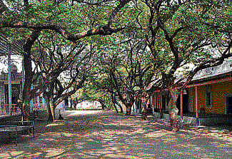 PM's model village scheme facing resistance from some MPs