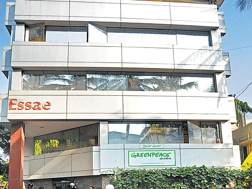 Unfazed by frozen accounts, Greenpeace staff brazen it out