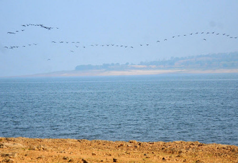 China reclaimed 800 hectares of land in South China Sea: US