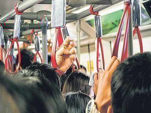 Urban microbes come out of the shadows