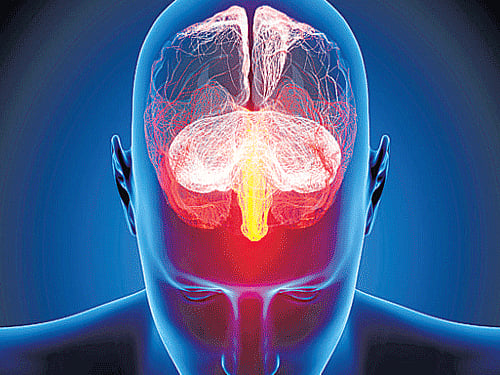 Brain mechanisms behind multitasking identified