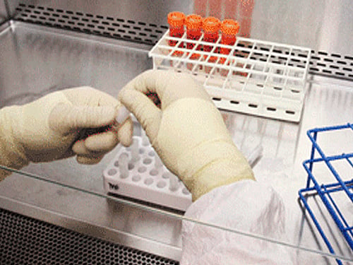 Skin microbes could fight common STDs