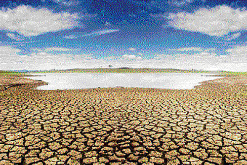 AP declares 196 blocks drought-hit