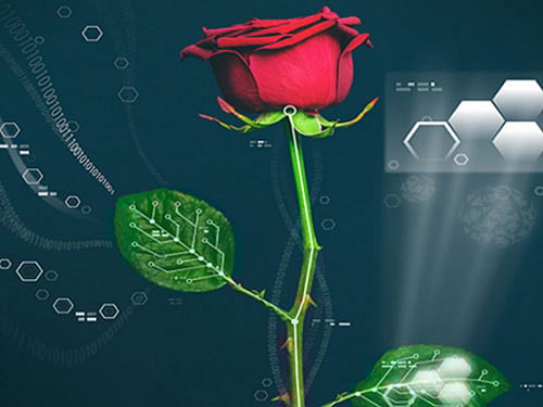 'Electronic' plants to herald new era for scientists