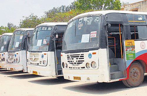 Special buses for Xmas