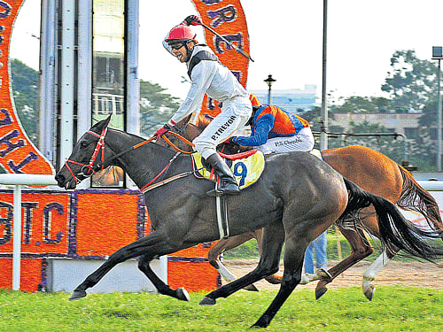 Angel Dust scripts Derby double