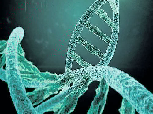 Genome editing of human embryos