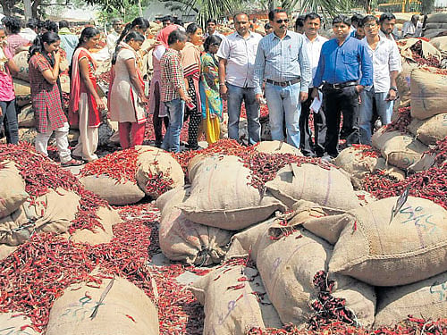 Glut in Byadgi chilli market, but prices remain on higher side