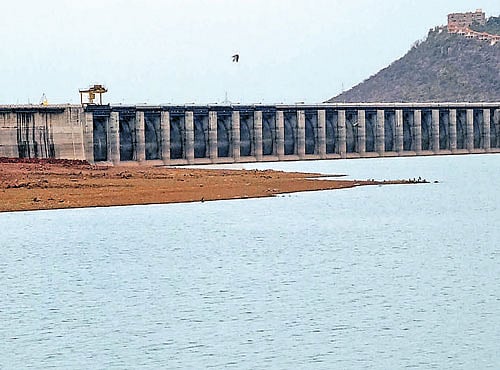 Drastic dip in water level at Almatti dam